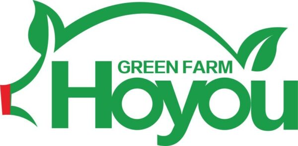 Logo HeYou RuiAn – German Centre Taicang